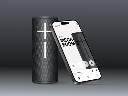 Mobile Application For Speaker Device - Developex Case Study