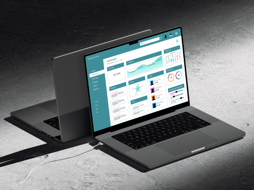 Web Application Development for BI Platforms - Developex