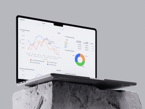 Custom Development & Support for BI Company - Developex